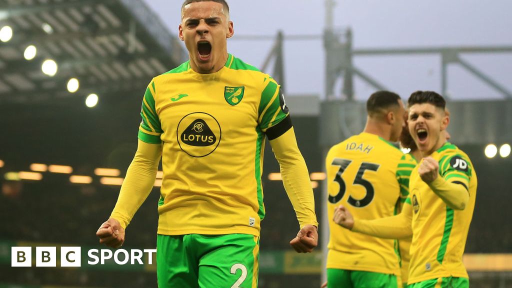 'Good to see Aarons staying' - your views on Norwich's transfer window ...