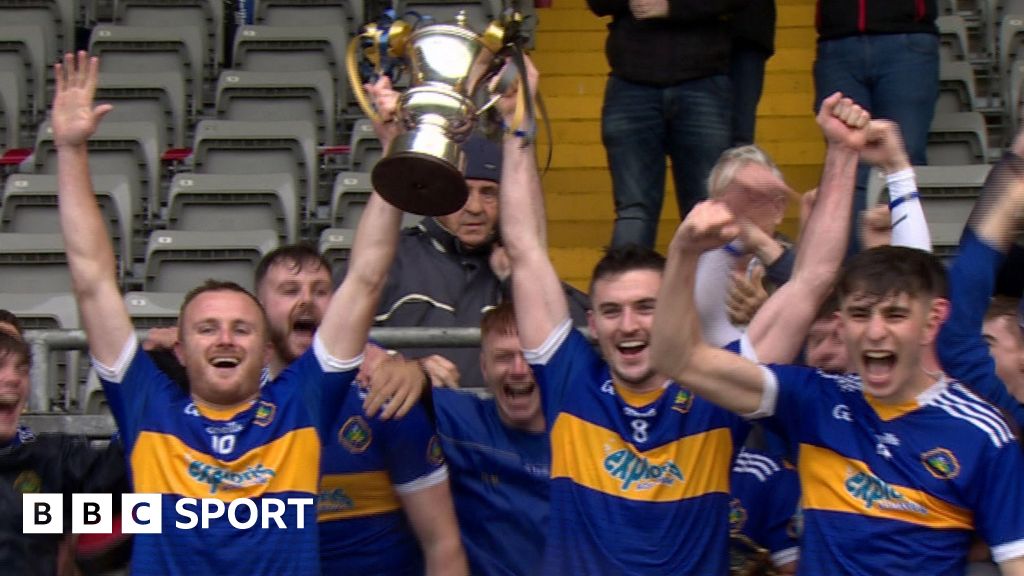 Down Hurling Final: Fourteen-man Portaferry beat Ballycran 1-12 to 0-13 ...