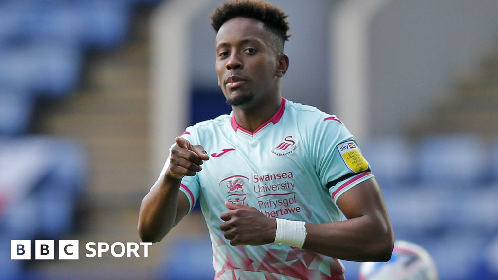 Sheffield Wednesday 0-2 Swansea City: Jamal Lowe and Jay Fulton condemn ...