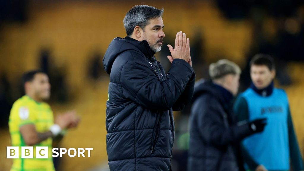 "Frustrated, disappointed and angry" - Norwich City head coach Wagner ...