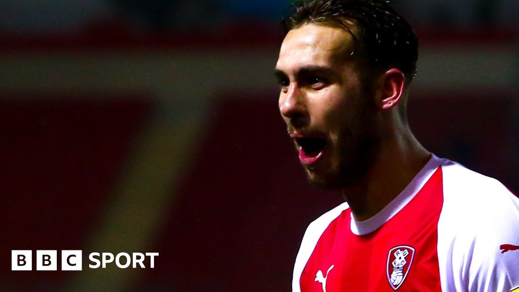 Rotherham United 1-1 Reading: Joe Mattock denies managerless Royals ...