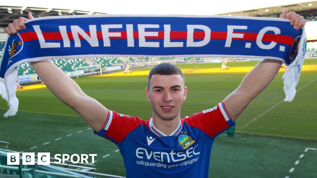Irish Premiership: Linfield sign Ethan McGee from Dungannon Swifts ...