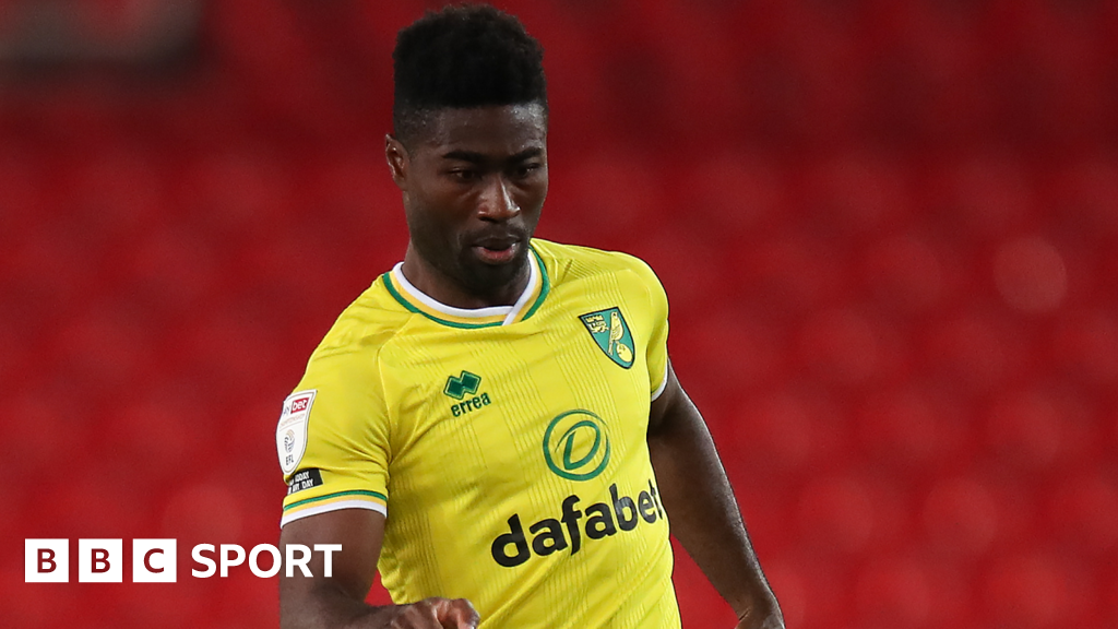 Norwich City quiz: The Goreham Check answer - BBC Sport