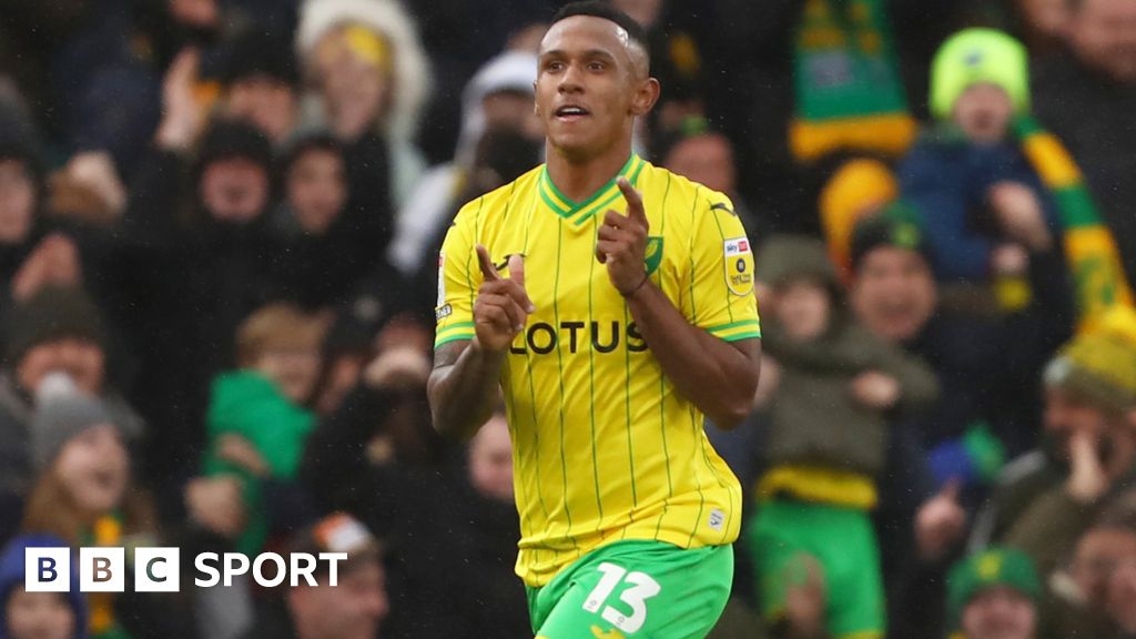 Norwich City 2-0 Cardiff City: Marquinhos debut goal helps Canaries to ...