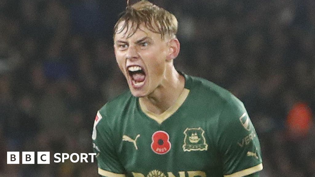 Ben Waine: Plymouth Argyle striker 'desperate to learn' - BBC Sport
