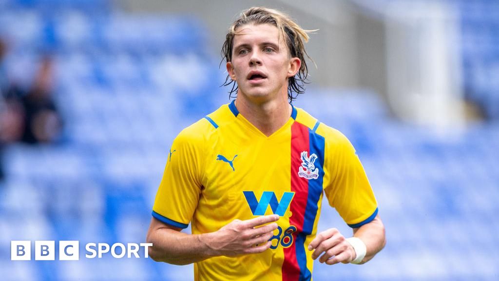 Crystal Palace's summer ins and outs - BBC Sport