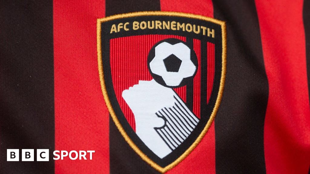 Bournemouth: Which summer signing do you expect to make the most impact ...