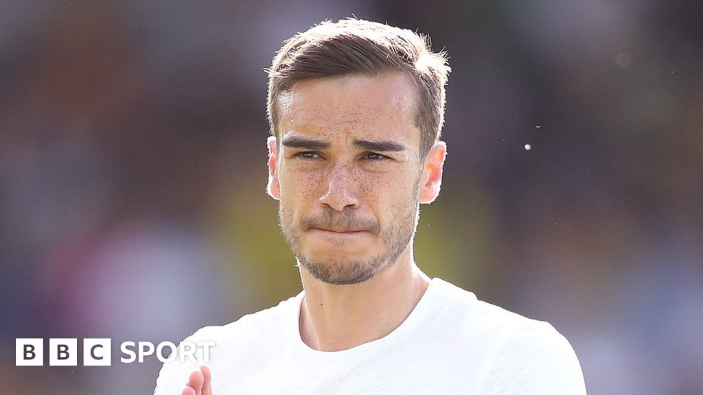 Harry Winks: Everton interested in Tottenham midfielder - BBC Sport
