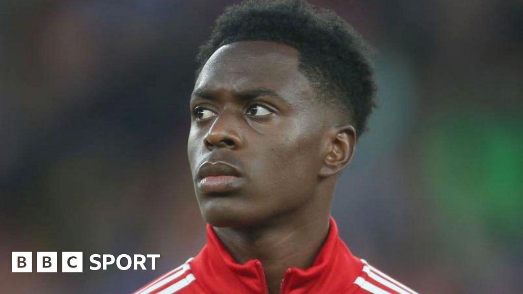 Crystal Palace: How successful was the January transfer window? - BBC Sport