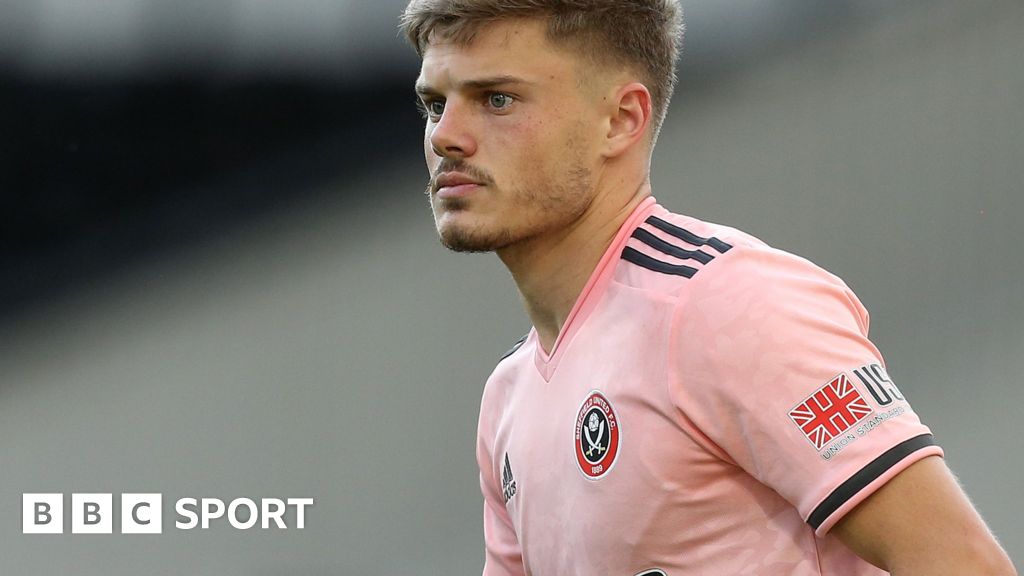 Regan Slater: Hull City sign Sheffield United midfielder on season-long ...