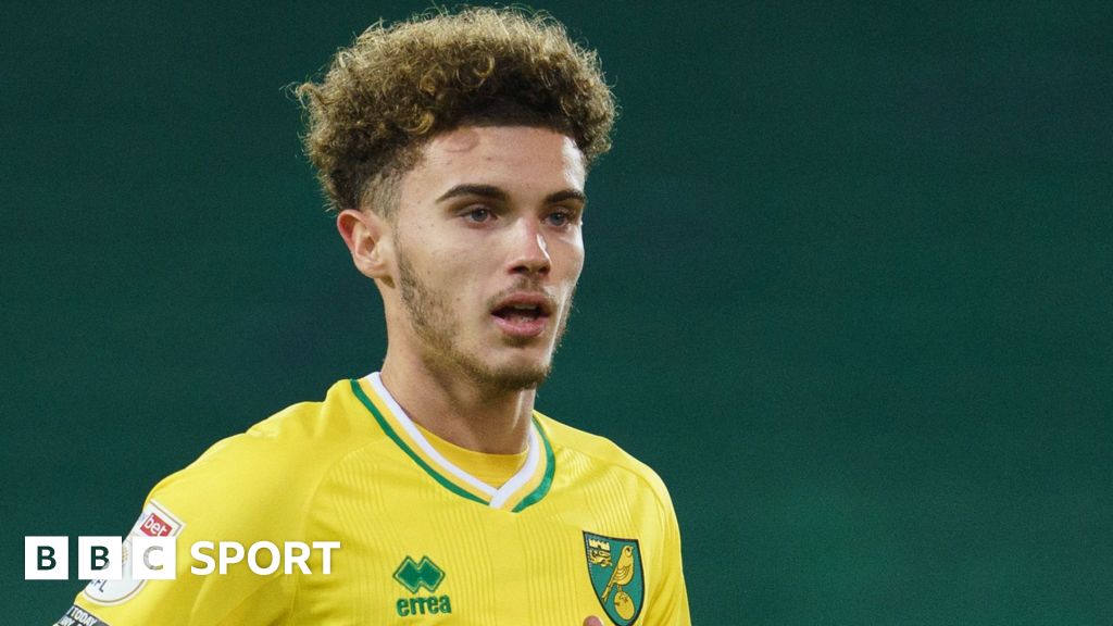 Josh Martin: Barnsley sign Norwich on loan with an option to buy - BBC Sport
