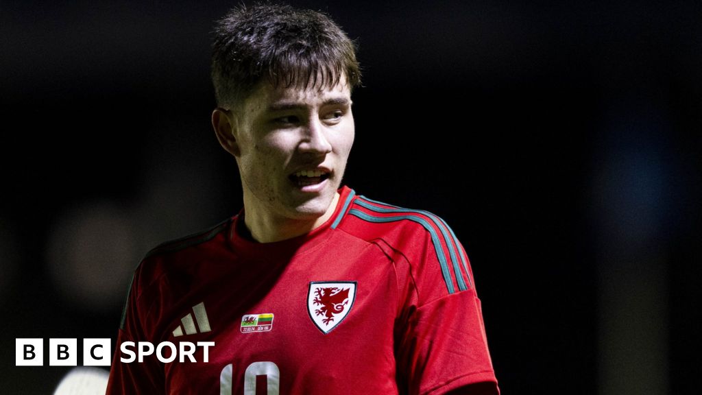 Euro 2024 play-offs: Rubin Colwill returns to Wales squad from U21 duty ...