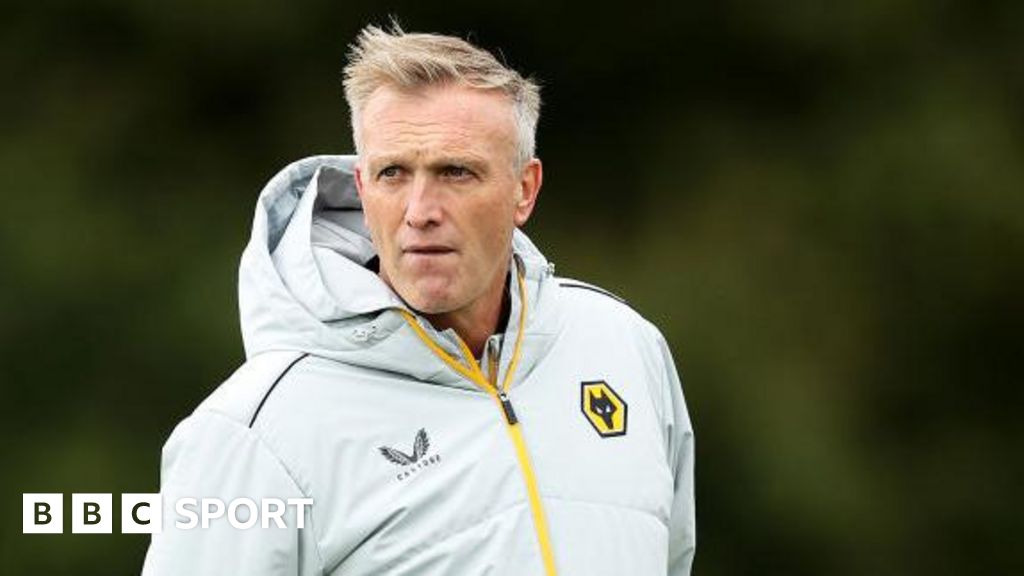 Wolves: 'I can’t speak highly enough of the club', says Steve Davis ...