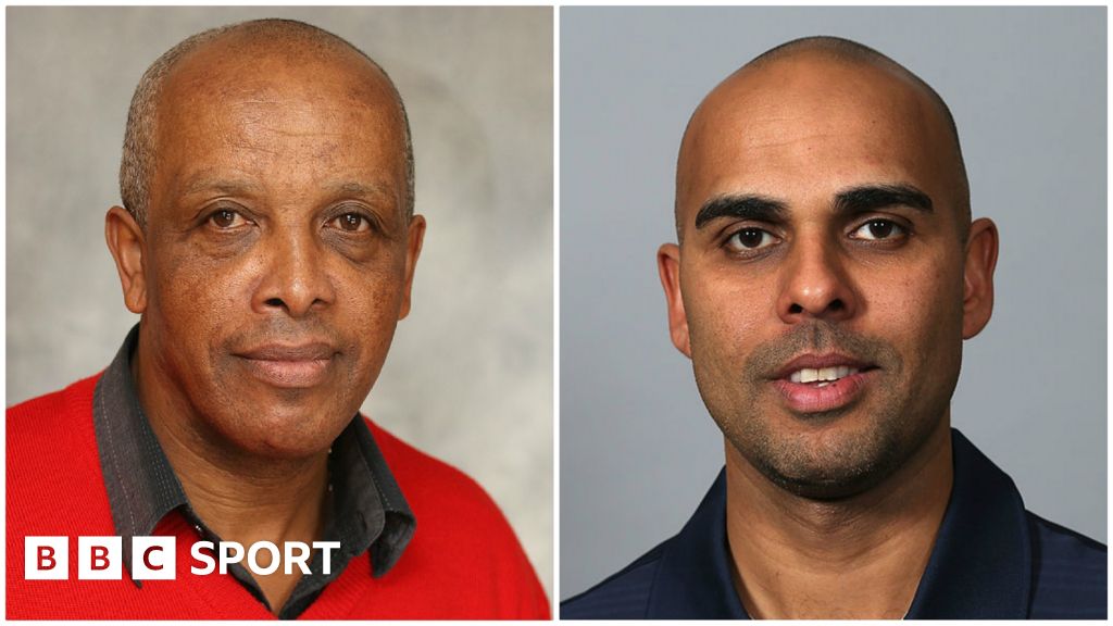 John Holder & Ismail Dawood: ECB sued by ex-umpires over alleged racial ...
