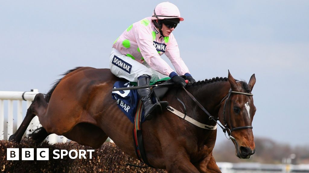 Cheltenham Festival: Douvan in line to face Altior in Champion Chase ...