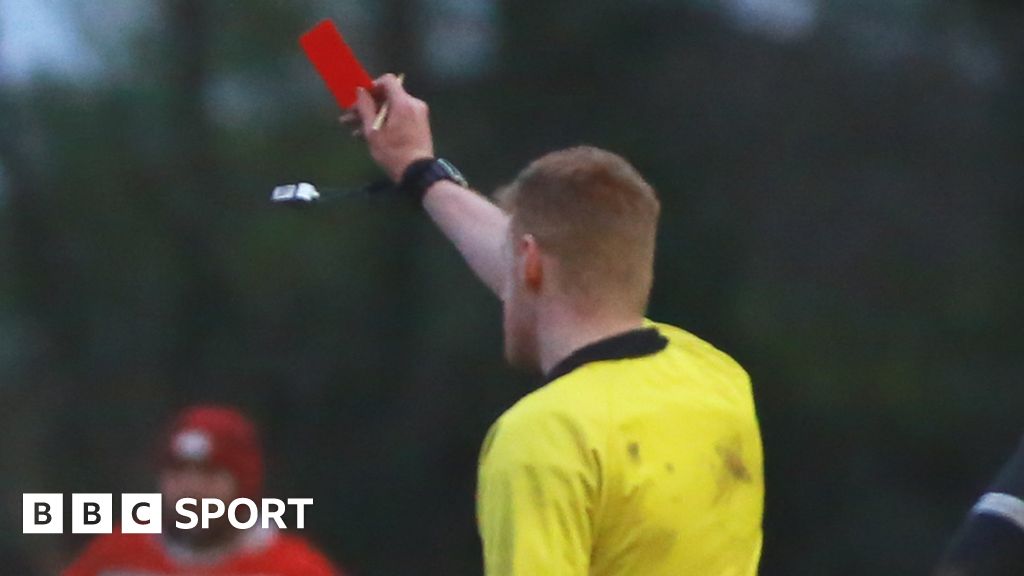 Welsh Rugby Union urges respect for referees after 10-year ban issued ...