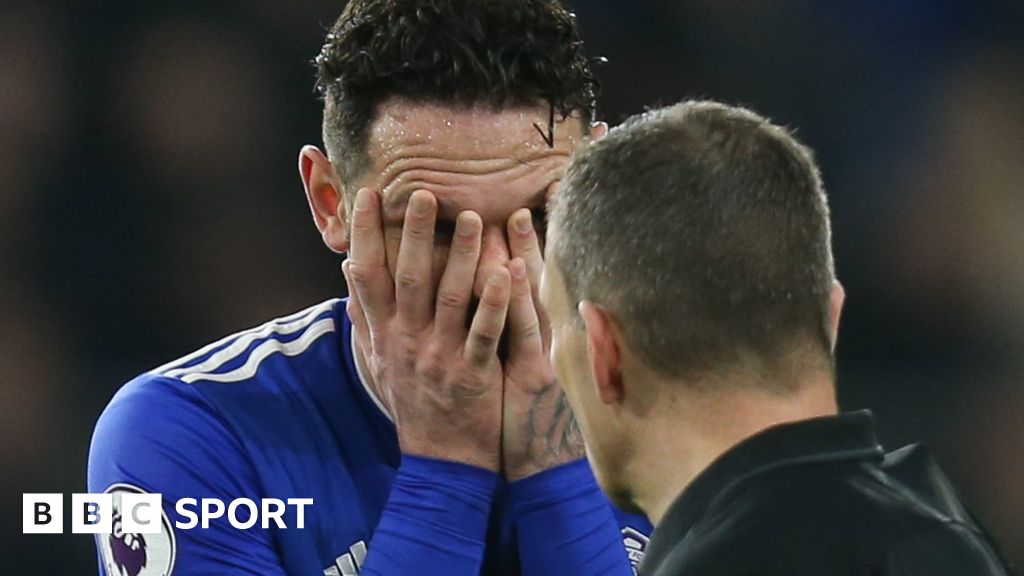 Cardiff City: Can they avoid Premier League relegation? - BBC Sport