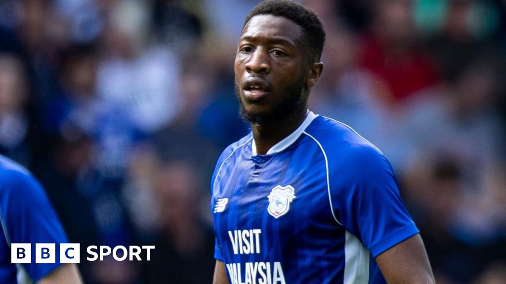 Ebou Adams 'OK' after Gambia flight drama - BBC Sport