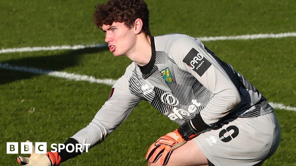 Livingston: Norwich keeper Daniel Barden signs on loan - BBC Sport