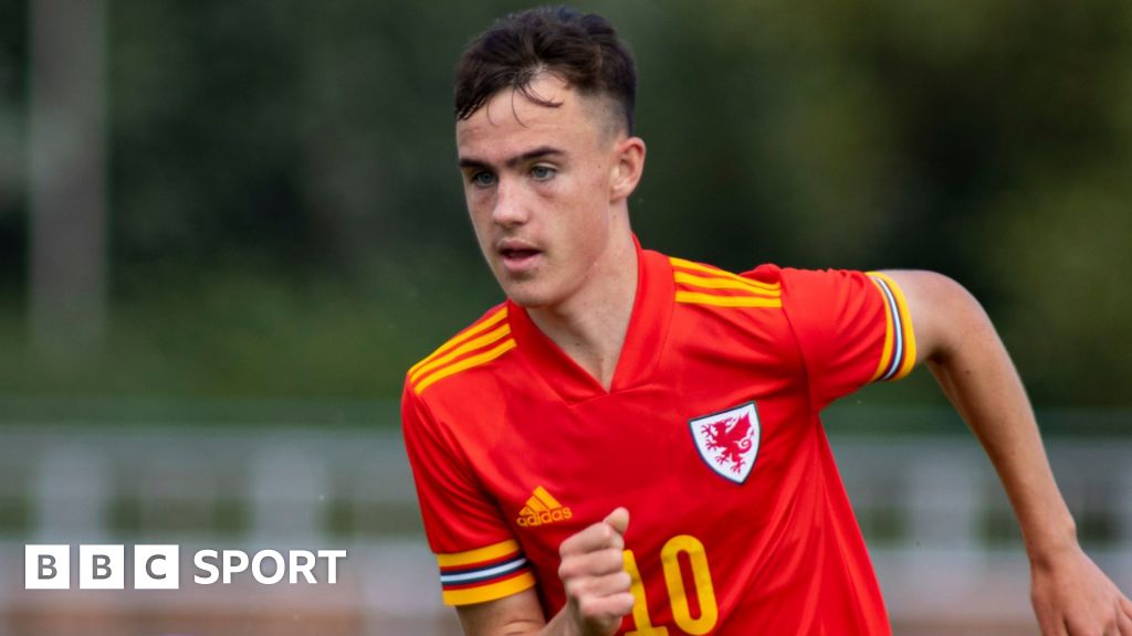 Nations League: Wales call up Fulham youngster Luke Harris for games ...