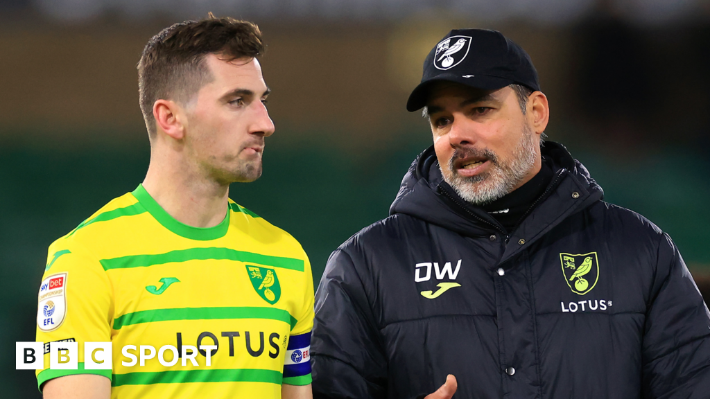 Norwich City fan's voice: A case for the defence - BBC Sport