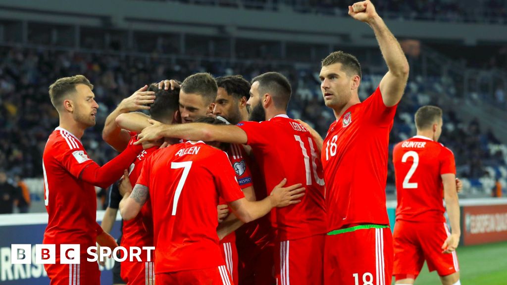 Georgia 0-1 Wales - BBC Sport