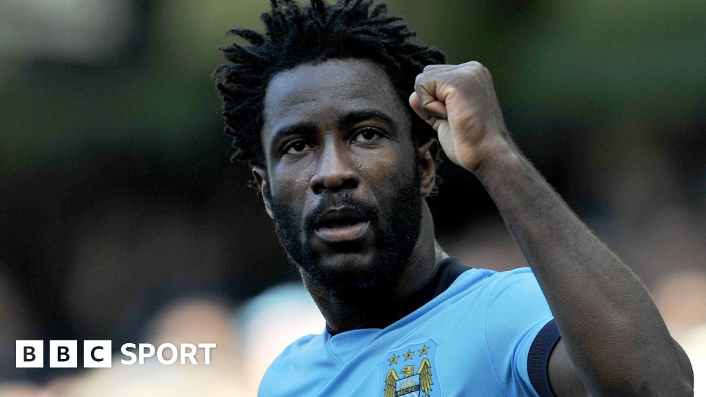Wilfried Bony: Stoke City sign Man City striker on loan - BBC Sport