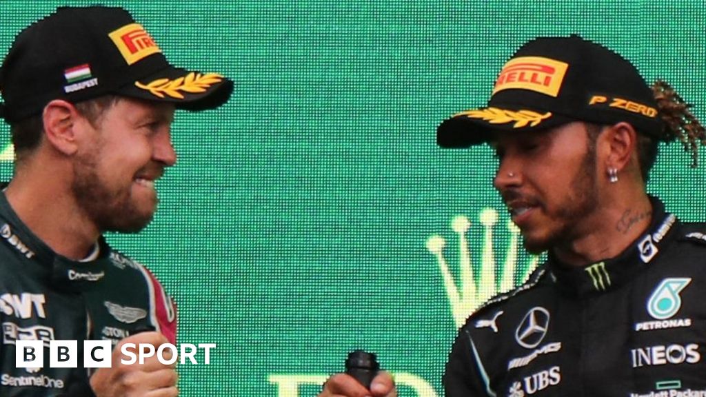 Sebastian Vettel: Lewis Hamilton & Fernando Alonso say retiring ...