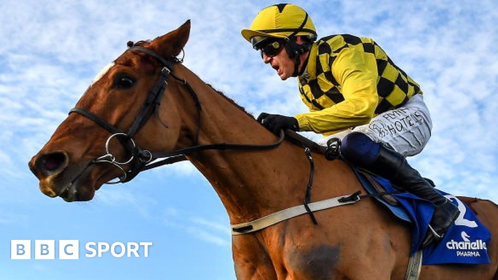 Irish Champion Hurdle: State Man beats Honeysuckle at Leopardstown ...