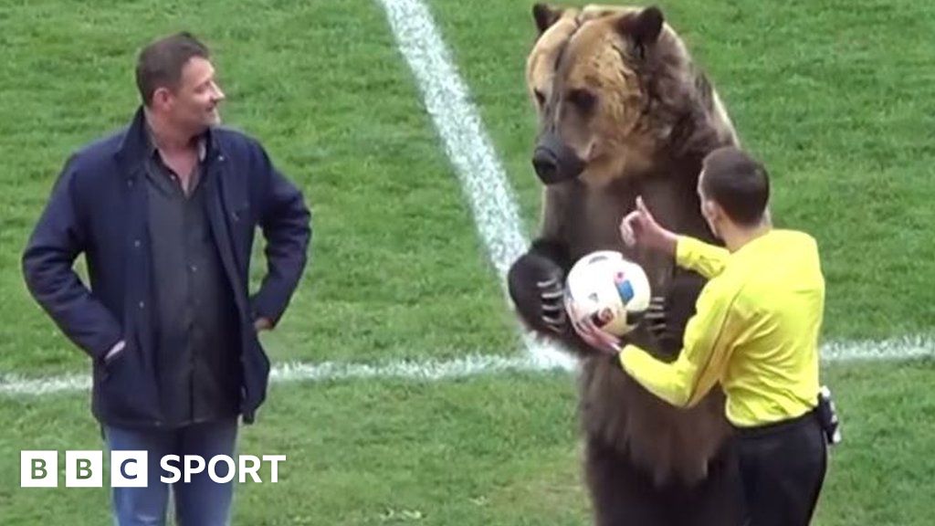 Performing bear at Russian match is 'inhumane' - animal welfare groups ...