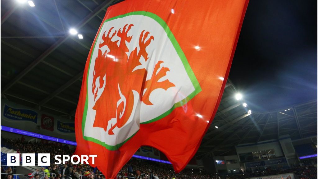 World Cup qualification brings £4m boost for Welsh grassroots football ...