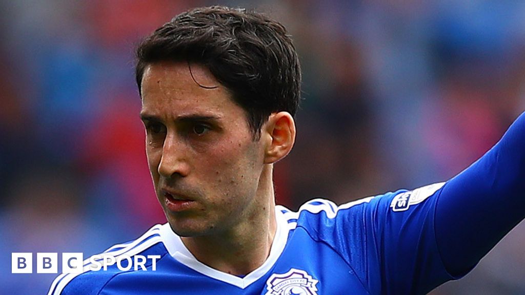Peter Whittingham: Blackburn midfielder regrets no Cardiff City fans ...