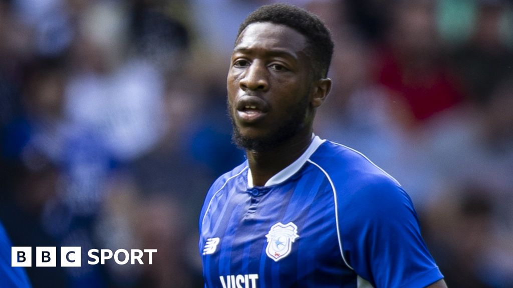 'I had Triple H's injury!': Cardiff midfielder Ebou Adams' long road ...