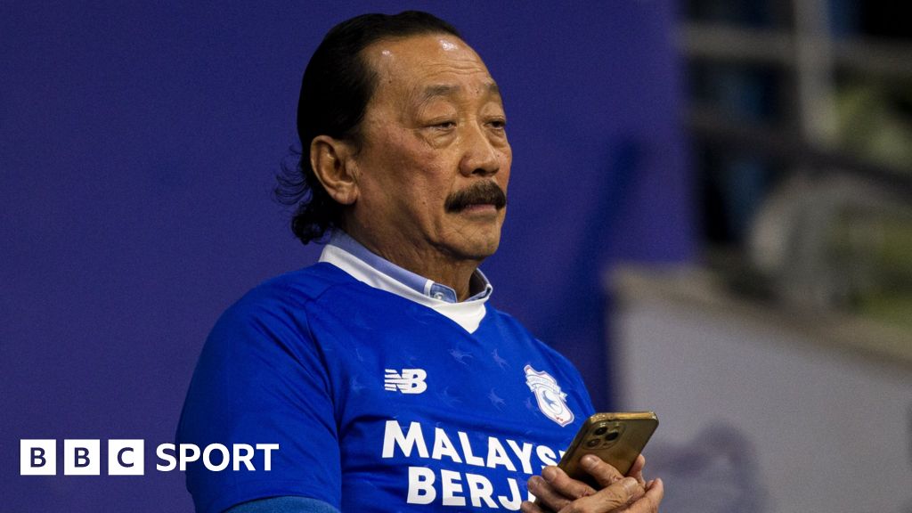 Cardiff City must appoint long-term boss after Mark Hudson sacking ...