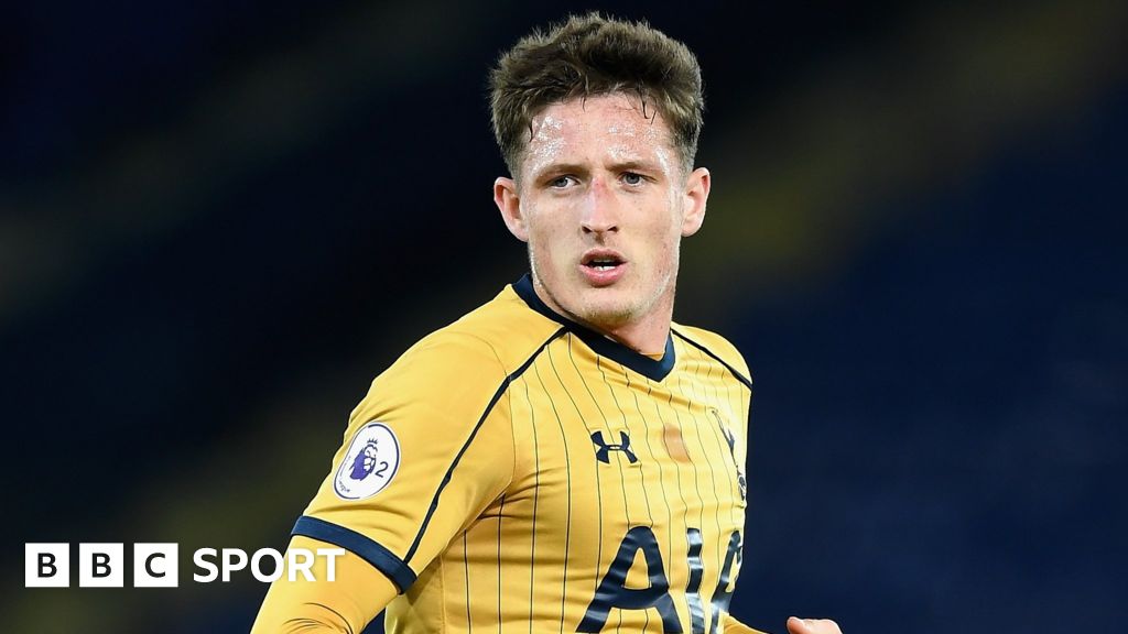 Ryan Loft: Tottenham Hotspur forward joins Stevenage on loan - BBC Sport