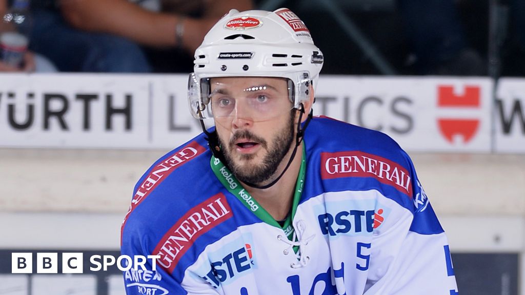 Ice Hockey: Cardiff Devils recruit brothers Andrew and Scott Hotham ...