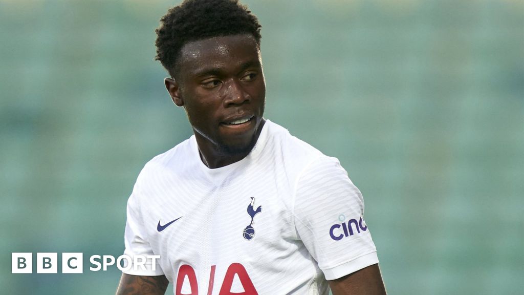 Nile John: Charlton Athletic sign Tottenham Hotspur midfielder on loan ...