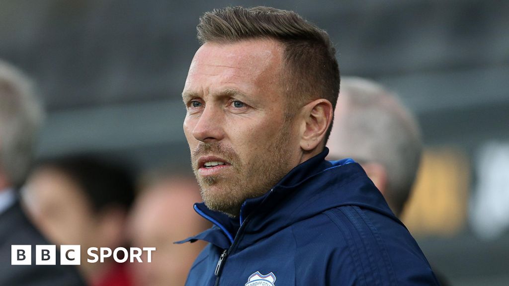 Craig Bellamy: New boss 'the ideal fit' for Wales - David Adams - BBC Sport