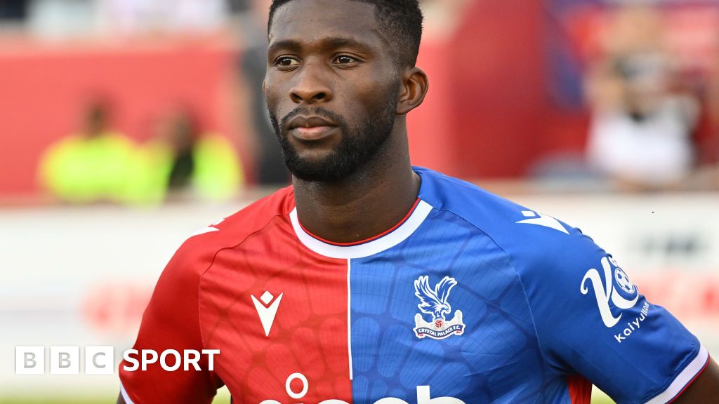 Crystal Palace: Which signing will make the most impact? - BBC Sport