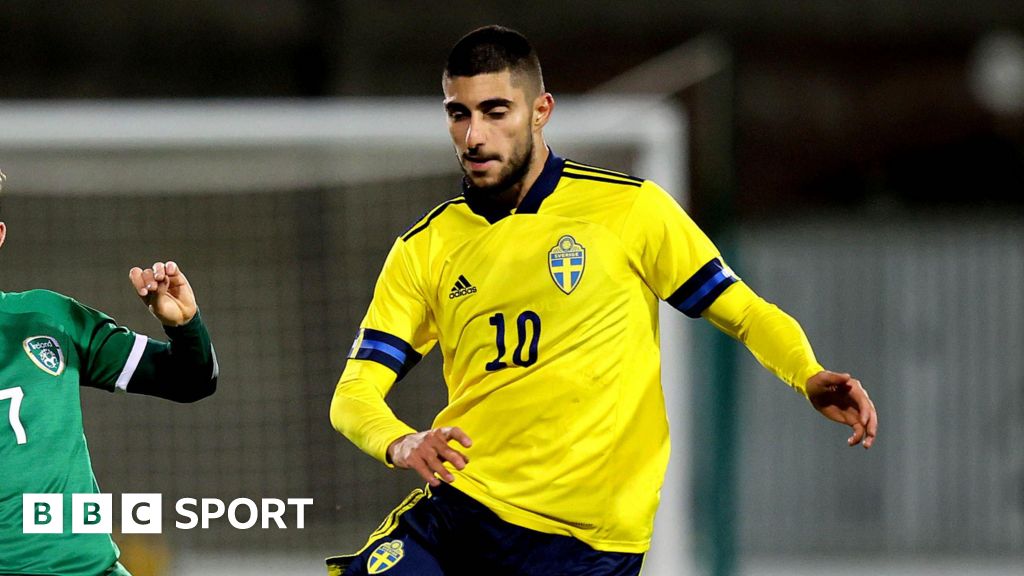 Plymouth Argyle sign midfielder Rami Al Hajj from Odense - BBC Sport