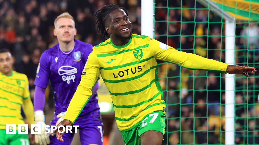 Transfer news: Rowe set to stay at Norwich - BBC Sport