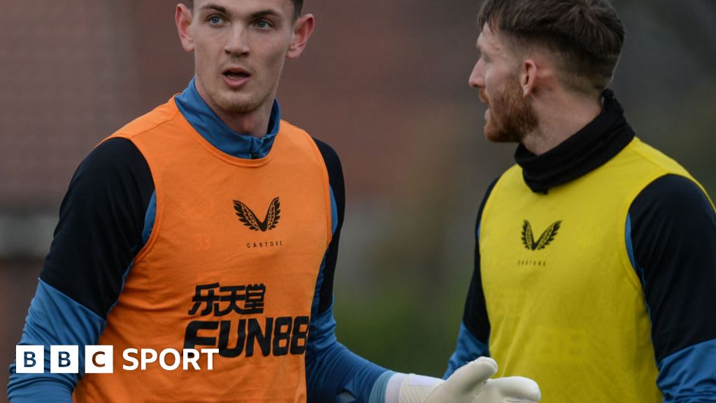 Newcastle: Dan Lanlgey makes Spennymoor loan switch - BBC Sport