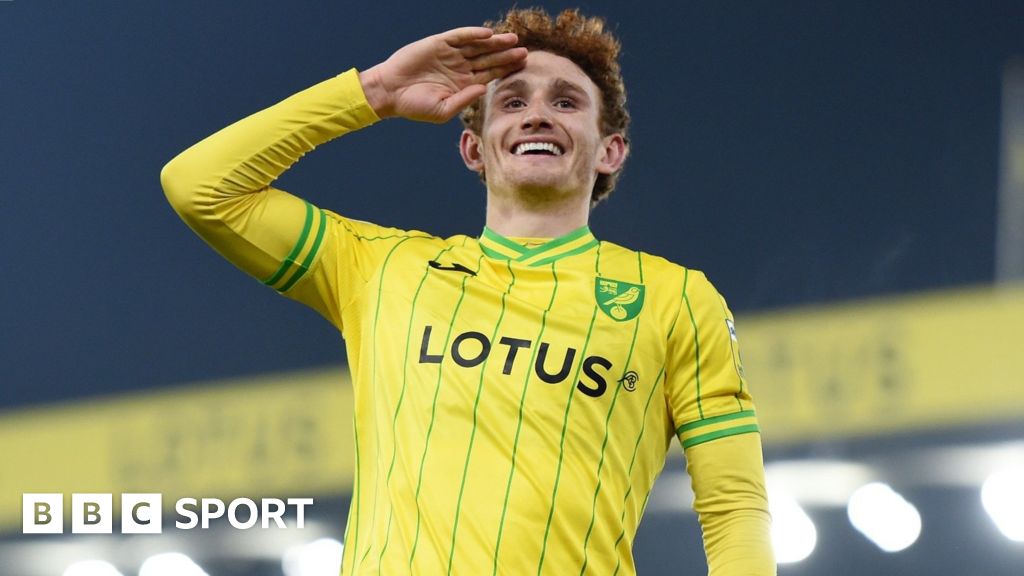 Josh Sargent key to Norwich success - BBC Sport
