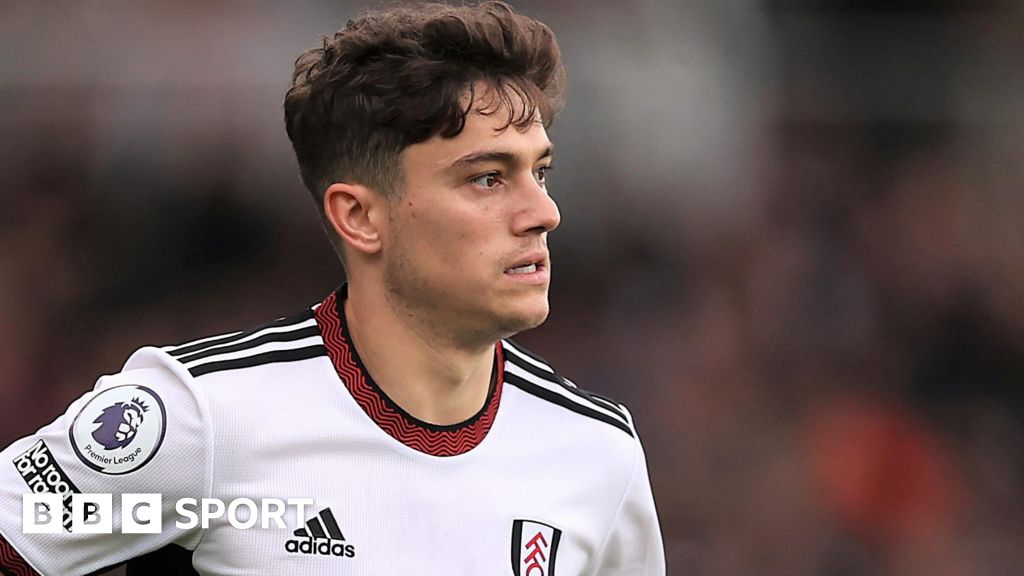 Fulham: Which player is playing for his future? - BBC Sport