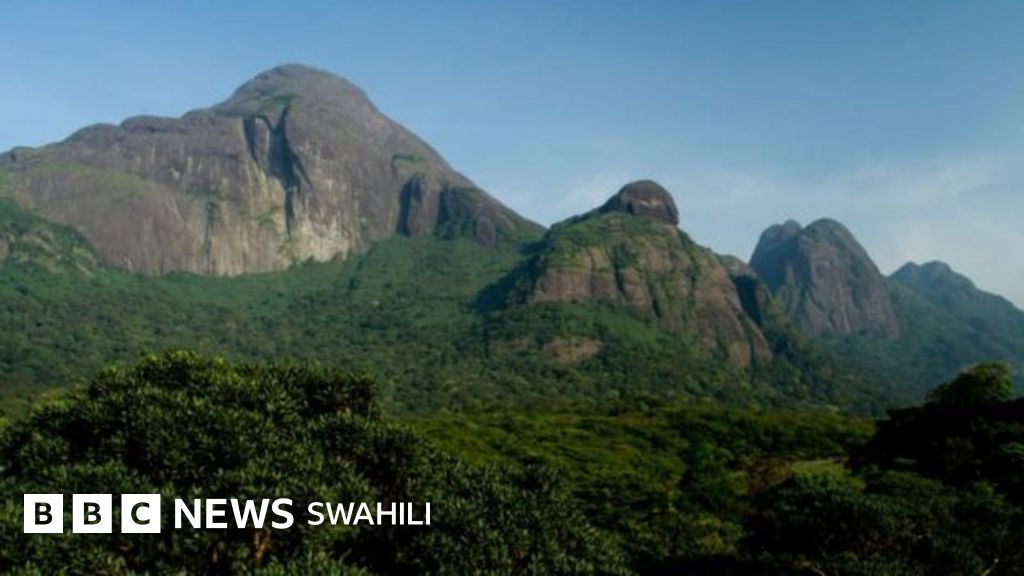 Chemsha bongo: Kwa nini wanawake nchini India hawaruhusiwi kuukwea ...