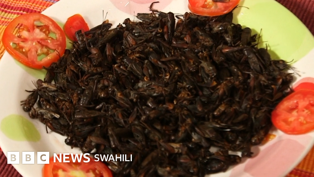 Senene: Mradi wa kula wadudu wavutia Benki ya Dunia na WHO - BBC News ...