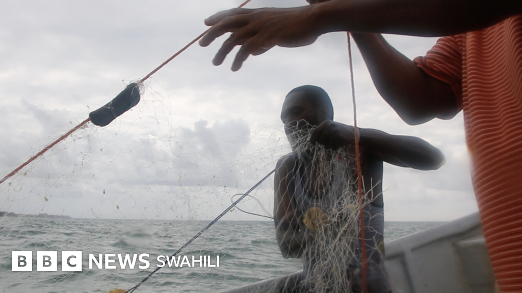 Wavuvi wanaotumia mipira ya kondomu kuimarisha usalama wao Mombasa ...