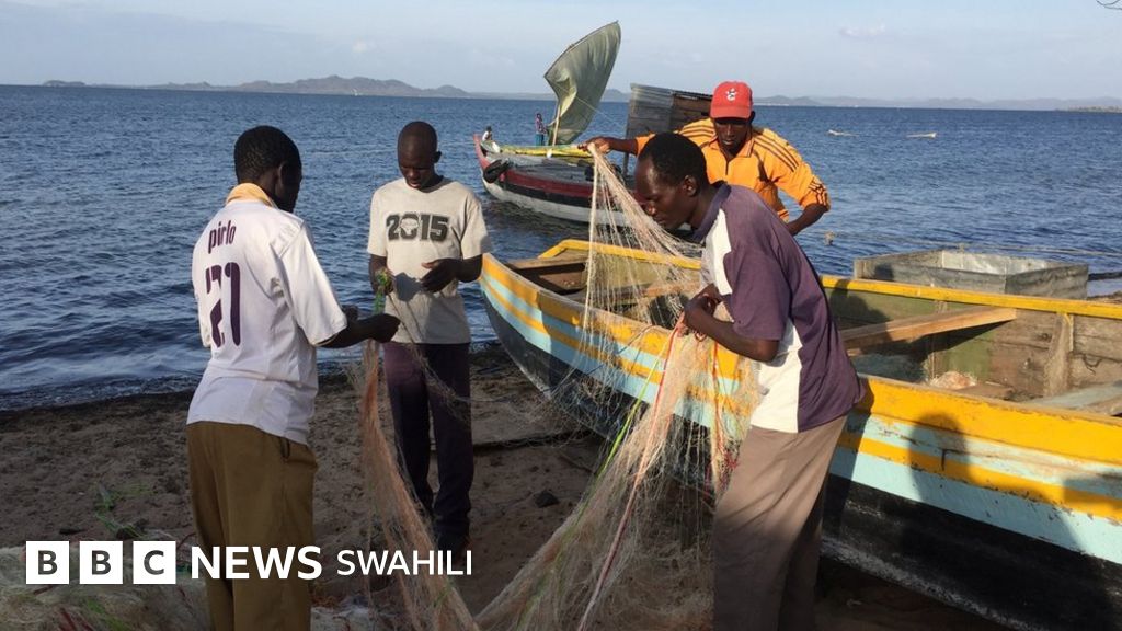 Mabadiliko ya tabia nchi yatishia wavuvi Ziwa Victoria - BBC News Swahili