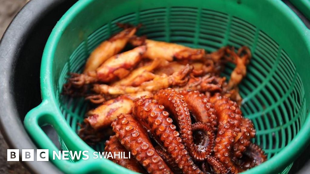 Uandaji wa pweza sio kazi rahisi- Lakini unaweza kujifunza - BBC News ...