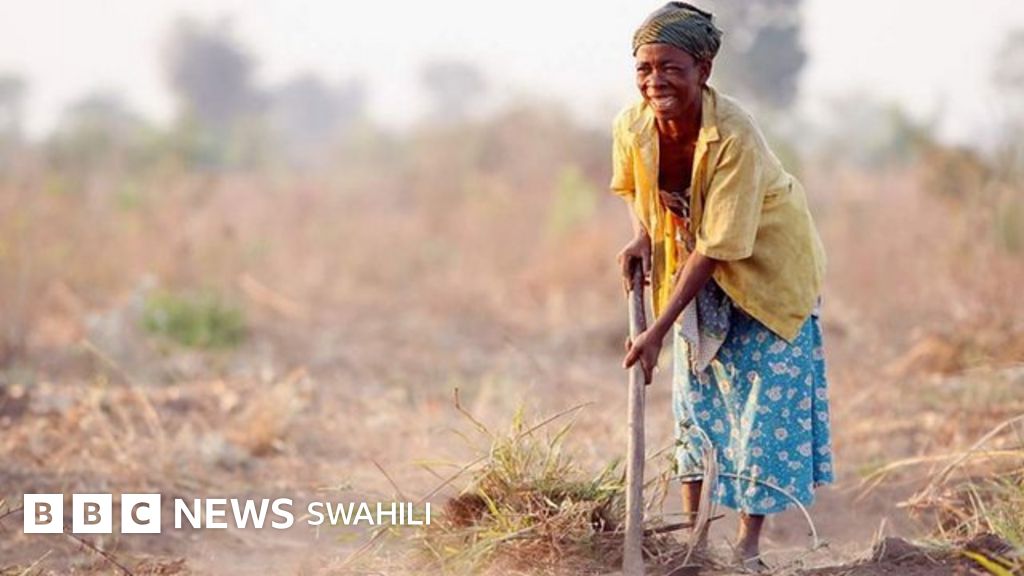 Shida zinazowakabili wazee zinatatuliwa Tanzania? - BBC News Swahili